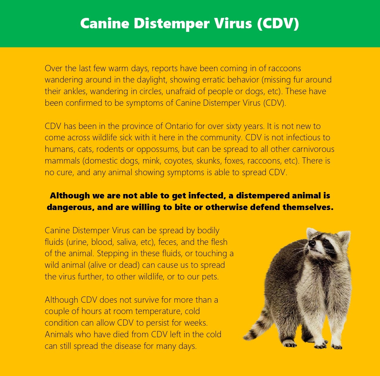 Hiawatha First Nation Canine Distemper Virus (CDV)